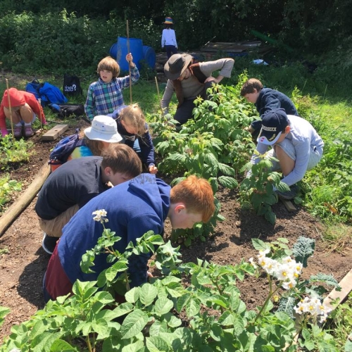 TABLEHURST FARM LTD, Forest Row, RH18 5DP, pork beef chicken lamb ...