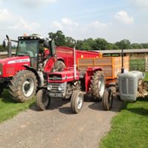 Spring Lane Farm Shop, Nottingham, NG3 5RQ, Local Beef Bakery Fresh ...