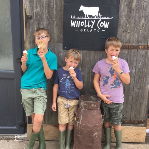 Wholly Gelato & Milk, Gloucester, GL2 3NT, free range, grass fed ...