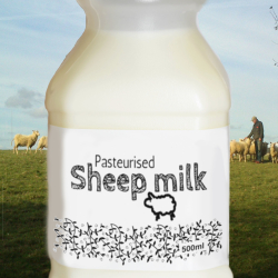 Top Paddock Dairy, Horsham, RH13 6QE, sheep milk, sheep milk ice cream ...