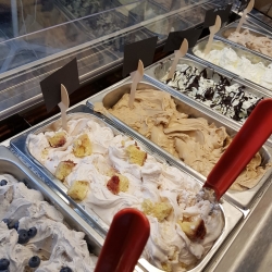 Wholly Gelato & Milk, Gloucester, GL2 3NT, free range, grass fed ...
